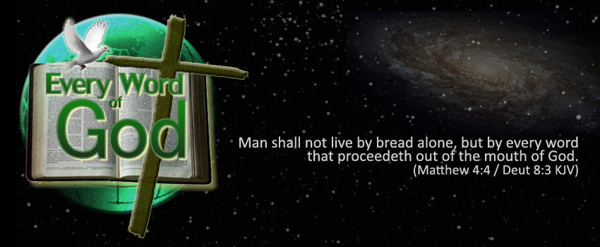 Every Word of God